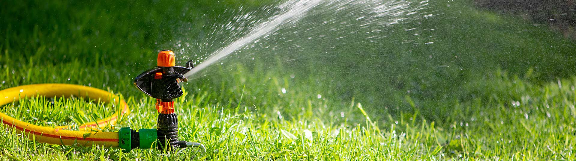 Pinolex® Irrigation | Lawn Care & Gardening